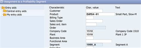 Attributed Profitability Segment In Co Pa Concept Sap Community