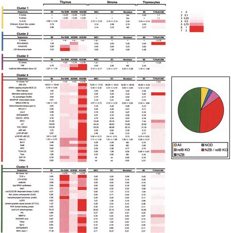 Transcriptome Analysis Of Thymuses From Control Nzb And Nod Mice The