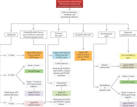 Diagnostic Flow Chart For Main Autoinflammatory Diseases Displaying
