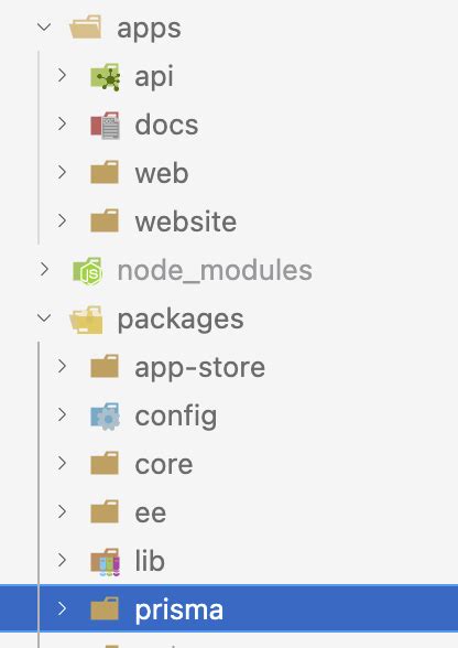 root ` env` variables aren t available to prisma in monorepo