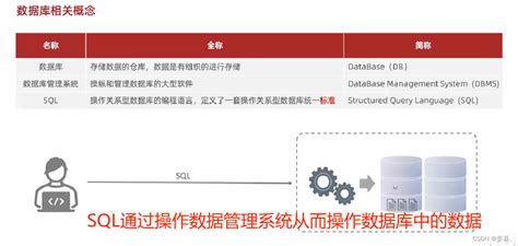 数据库 黑马笔记基础 SQL