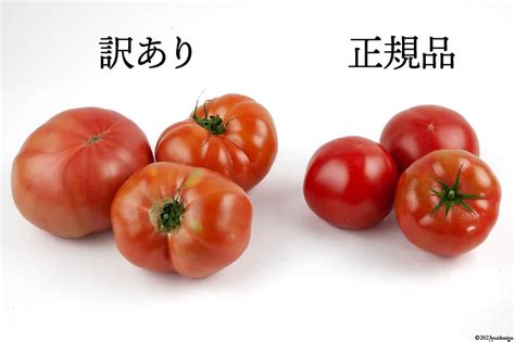 【先行受付】 秋作 訳あり トマト 2kg ヨダファーム 山梨県 中央市 21470615 規格外 家庭用 不揃い 野菜 とまと 山梨県産