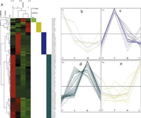 Expression Patterns Of Evolutionarily Conserved Mirnas During The