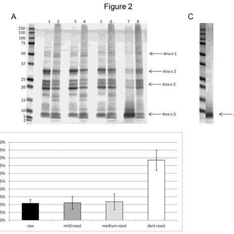 Direct Igg Elisa Using Serial Half Log Dilutions Of Soluble Extract Download Scientific Diagram
