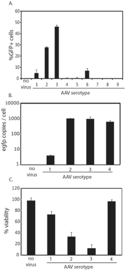 The Indicated Aav Serotypes Were Packaged With A Self Complementary Download Scientific Diagram