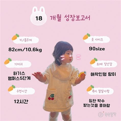 18개월아기발달 언어 놀이 대소근육 정리 네이버 블로그