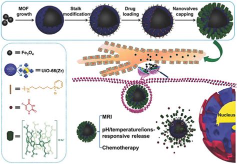 Molecules Special Issue Novel Synthetic Macrocycles Synthesis Structures Properties And