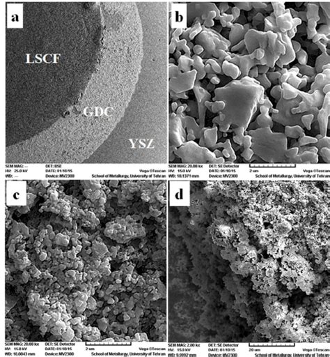 Sem Micrographs Of A A Half Cell Containing Ysz Electrolyte Gdc Download Scientific Diagram