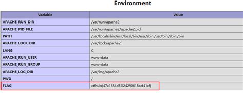 ctfhub web 信息泄露 phpinfo ctfhubphpinfo csdn博客