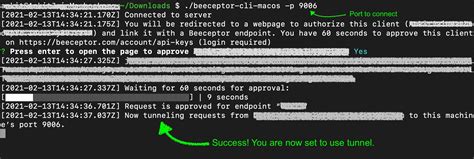 Webhook Development Testing Beeceptor