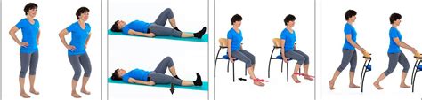 Physiotools We Have Added New Exercises For All
