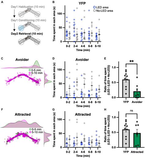 Frontiers State Dependent Modulation Of Positive And Negative