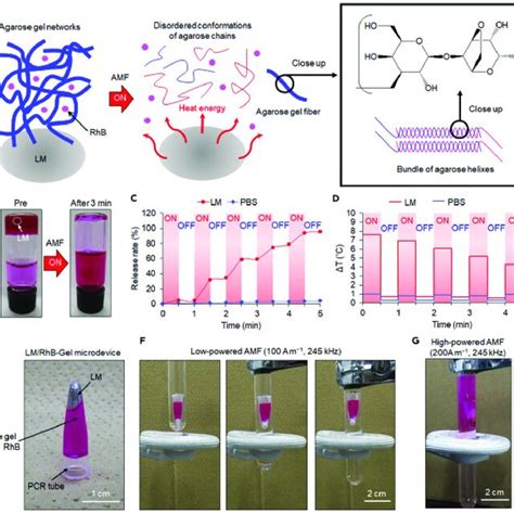Alternating Magnetic Field Amf Controlled Spatiotemporal Drug Release
