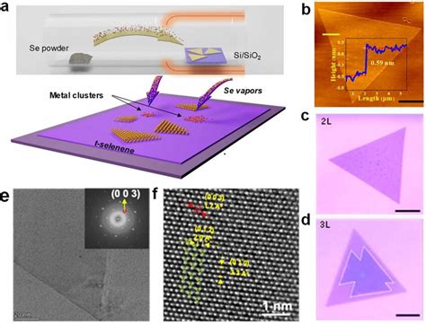 Synthesis And Structural Analysis A Schematic Illustration Of Download Scientific Diagram