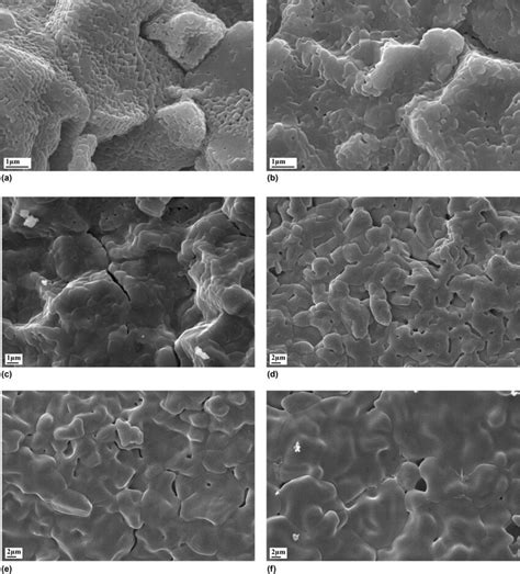 Microstructures Of Samples Treated At Different Temperatures A Download Scientific Diagram