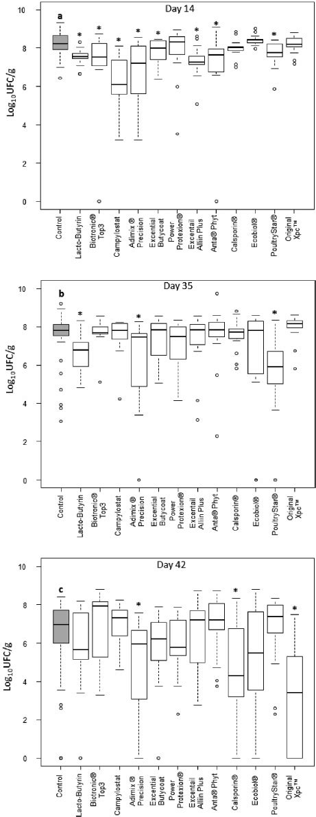 Effect Of Dietary Treatment On Campylobacter Counts Log 10 Cfug In Download Scientific