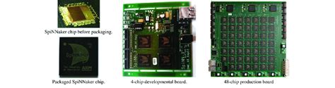 Spinnaker Chip And Boards Download Scientific Diagram