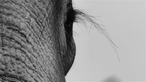 Steve Bolnick On Linkedin Ive Just Emerged From The Bush And Found