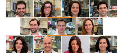 Multi Omics Approaches To Unravel Unexpected Alterations Related To Tumour And Single Cell