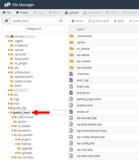 3 ways to access and edit wordpress files detailed ready made
