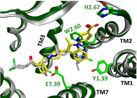 Figure 3 From What Can We Learn From Molecular Dynamics Simulations For