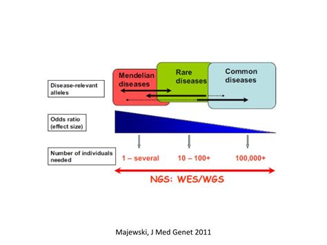 Ppt Whole Exome Sequencing For Variant Discovery And Prioritisation Powerpoint Presentation