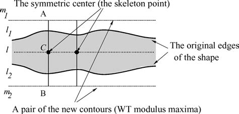 Symmetry Analysis Of Wt Modulus Maxima Download Scientific Diagram