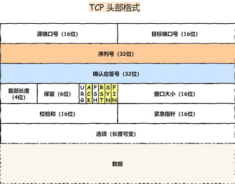 4 23 tcp 序列号和确认号是如何变化的？ 小林coding