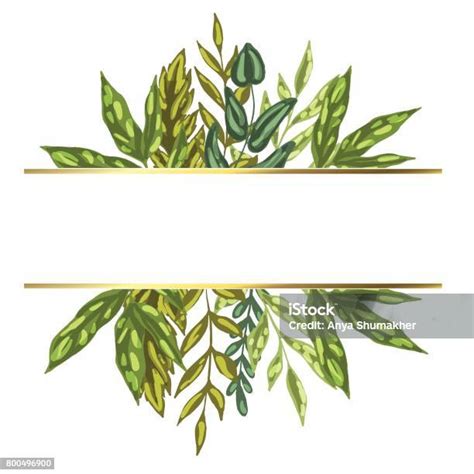 자세한 녹색 잎와 식물 장식 카드입니다 흰색 배경에 고립 설계 및 레터링 준비 템플릿입니다 벡터 일러스트 레이 션 감정에 대한 스톡 벡터 아트 및 기타 이미지 Istock