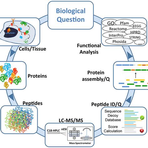PDF Bioinformatic Analysis Of Proteomics Data