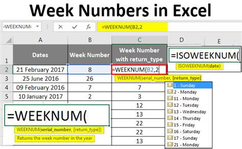 Whats The Week Number Week Number Today Ixlnxg