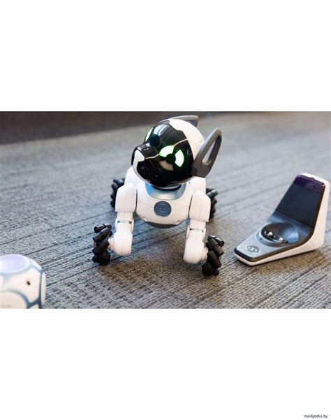 Робот-собака WowWee CHiP (WowWee) купить в Минске с доставкой по РБ