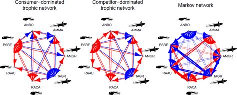 Two Known Interaction Networks Constructed From Empirical Data On Download Scientific Diagram