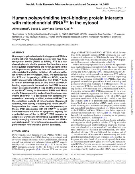 Pdf Human Polypyrimidine Tract Binding Protein Interacts With