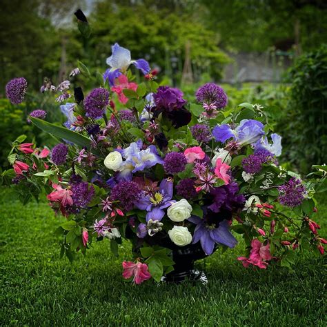 Azalea Flower Meaning And Its Paradoxical Subtleties