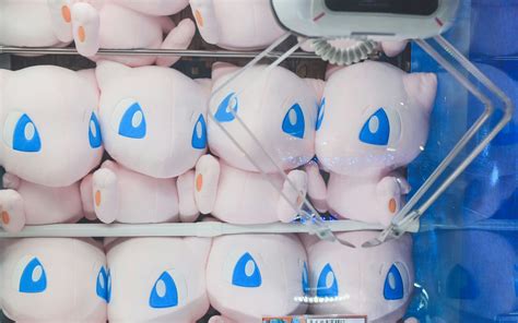 Federic Chi è Scopri Il Profilo Di Federic Sivola It