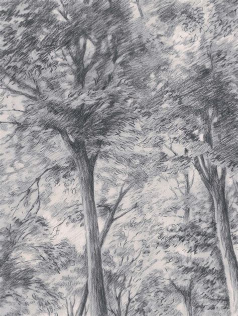 Sketch of Trees Gray custom fit wallpaper Boråstapeter