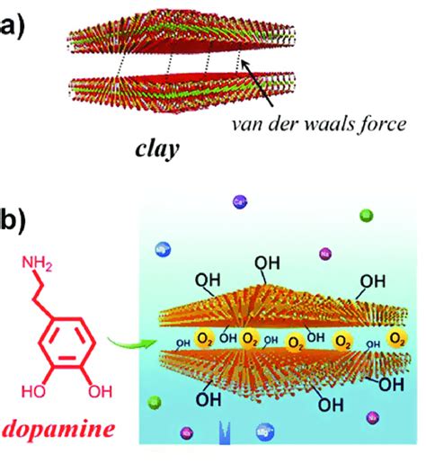 A Clay Has A Layered Structure That Is Held Together By Van Der Waals