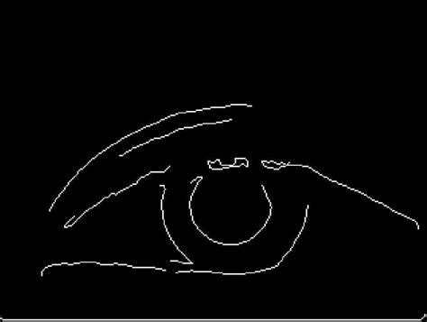 Binary Mask Used To Find Out The True Orientation Of Eye Image A Download Scientific