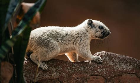 Nangisexypicture Photos Download The Best Free Nangisexypicture