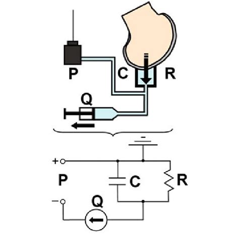 The Experimental Setup Was Modeled As A Parallel Rc Lumped Parameter Download Scientific