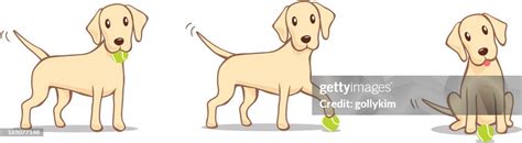 Fetch Part 2 High Res Vector Graphic Getty Images