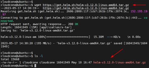 How To Install Helm On Ubuntu 22 04 Tutorials And How To Cloudcone