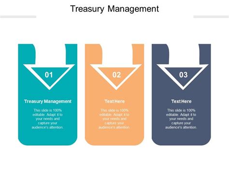 Treasury Management Ppt Powerpoint Presentation Model Demonstration Cpb PowerPoint Slides
