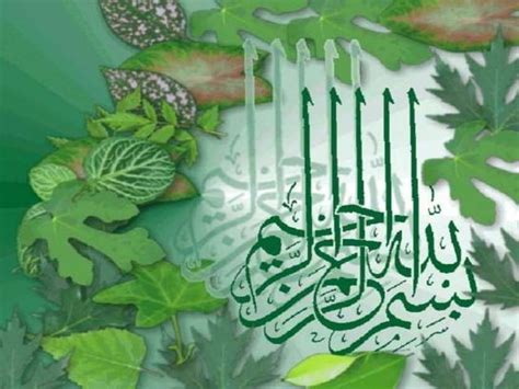 The Relation Between The Roots Of A Quadratic Equation Ppt Physics Science