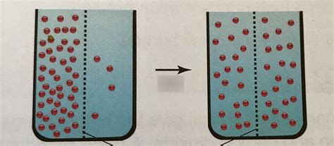 Diagram Of Cell Biology Diffusion Quizlet