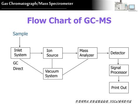 Ppt Gc Ms 의 원리 및 이론 Powerpoint Presentation Free Download Id 6315224