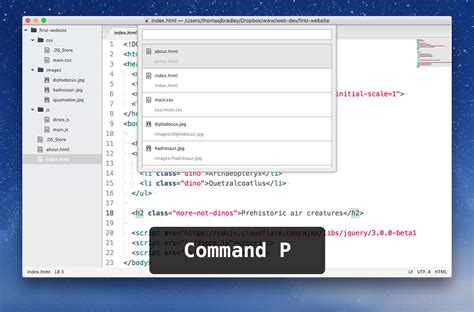 Using Your Code Editor · Web Dev 1 · Learn The Web