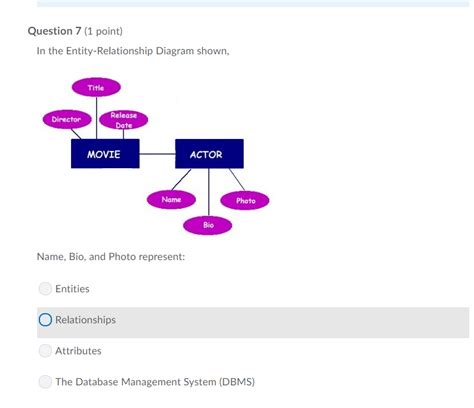 Solved Question 7 1 Point In The Entity Relationship