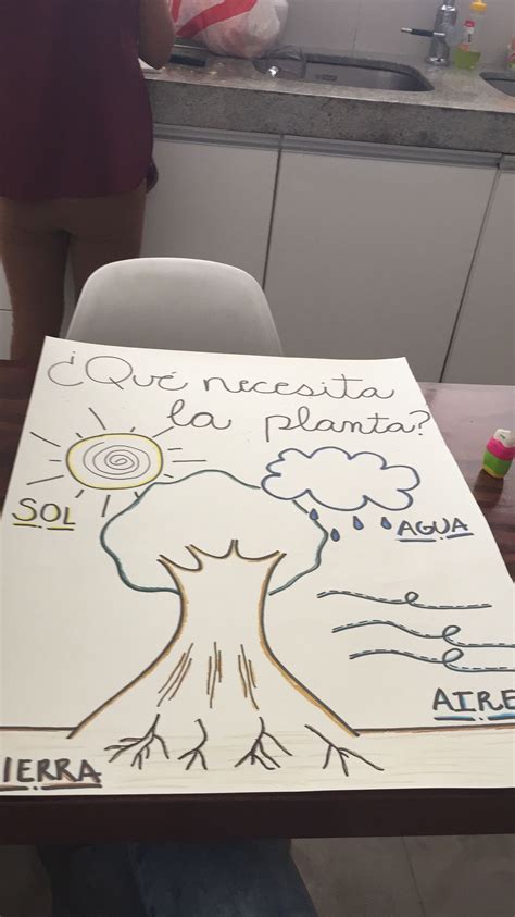 Que Necesita Una Planta Para Vivir